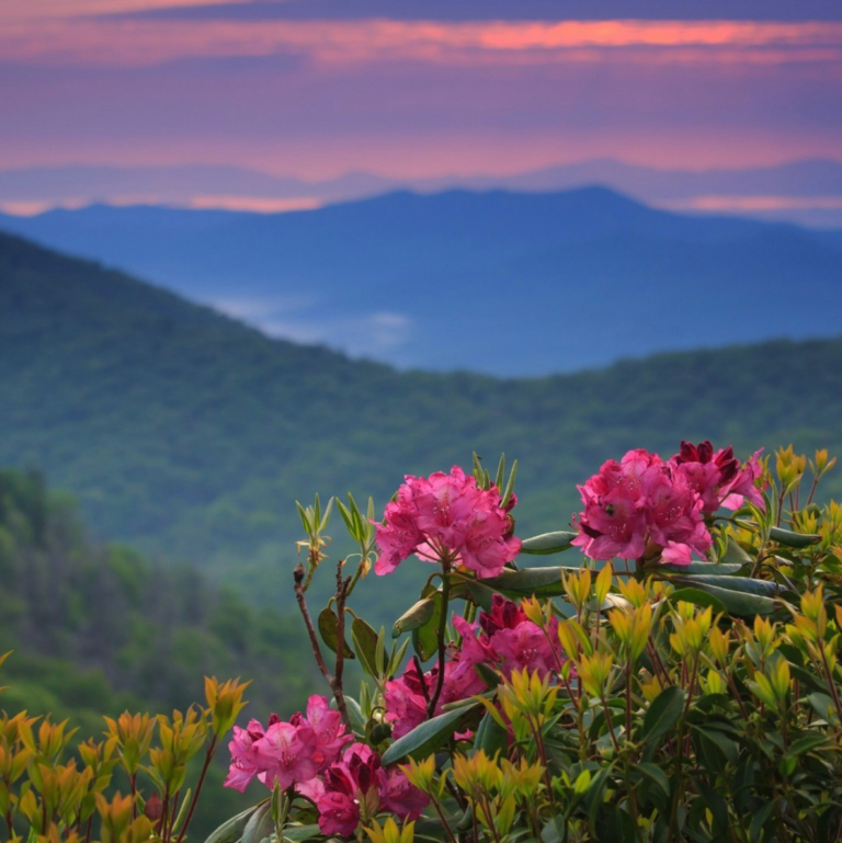 Graystone Lodge | Upscale Boutique Hotel in Boone, NC